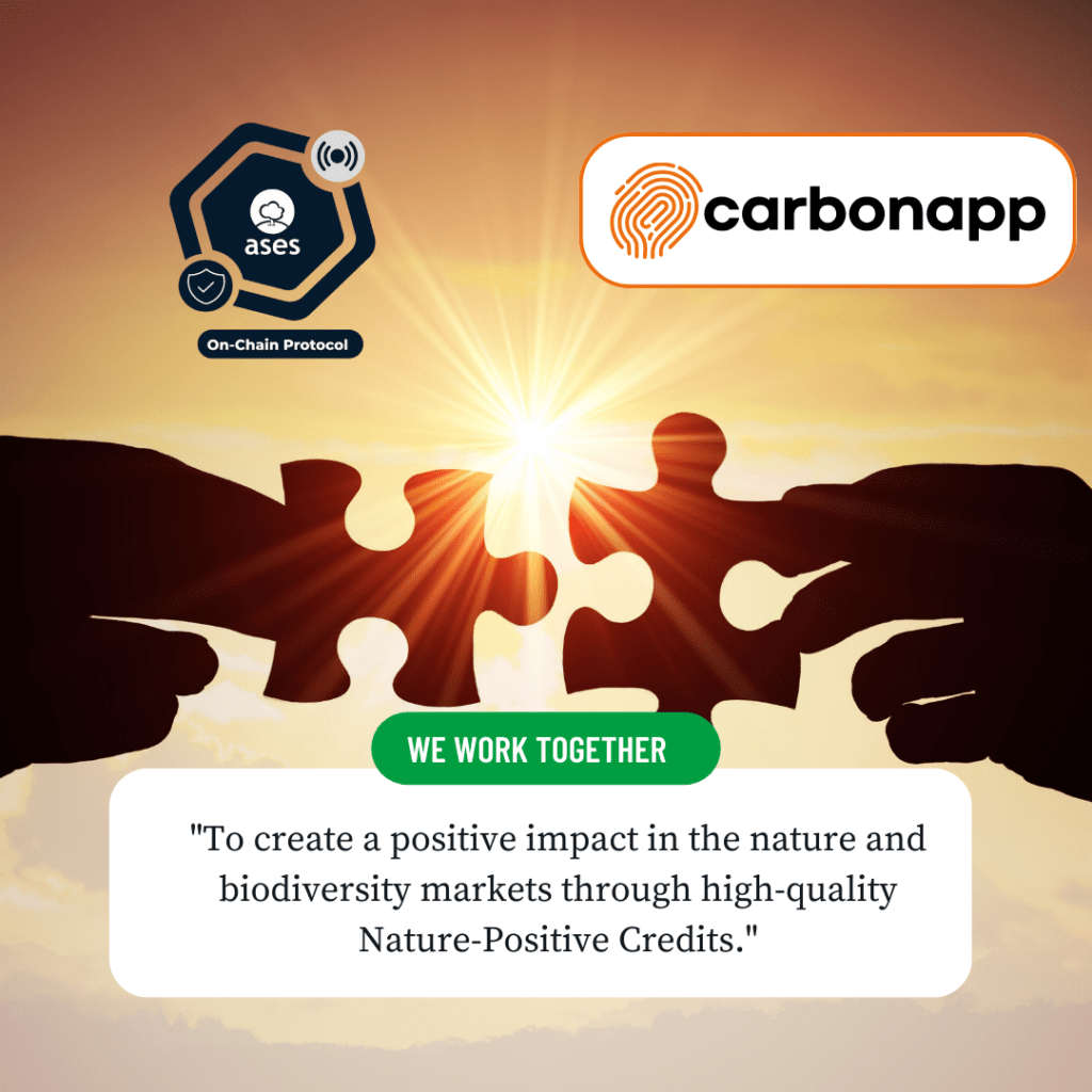 Nat5 Web3 – Nature-Positive